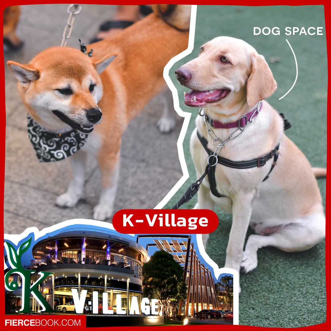 10 ห้างฯสัตว์เลี้ยงเข้าได้ ในกรุงเทพฯ และปริมณฑล :: Fiercebook